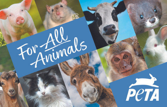 Renew Your PETA Membership for 2022