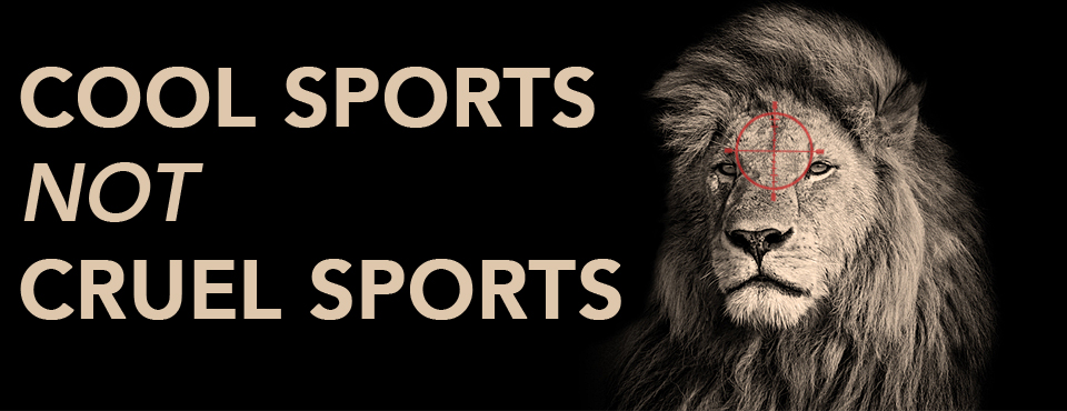 League Against Cruel Sports Cool Sports Not Cruel Sports