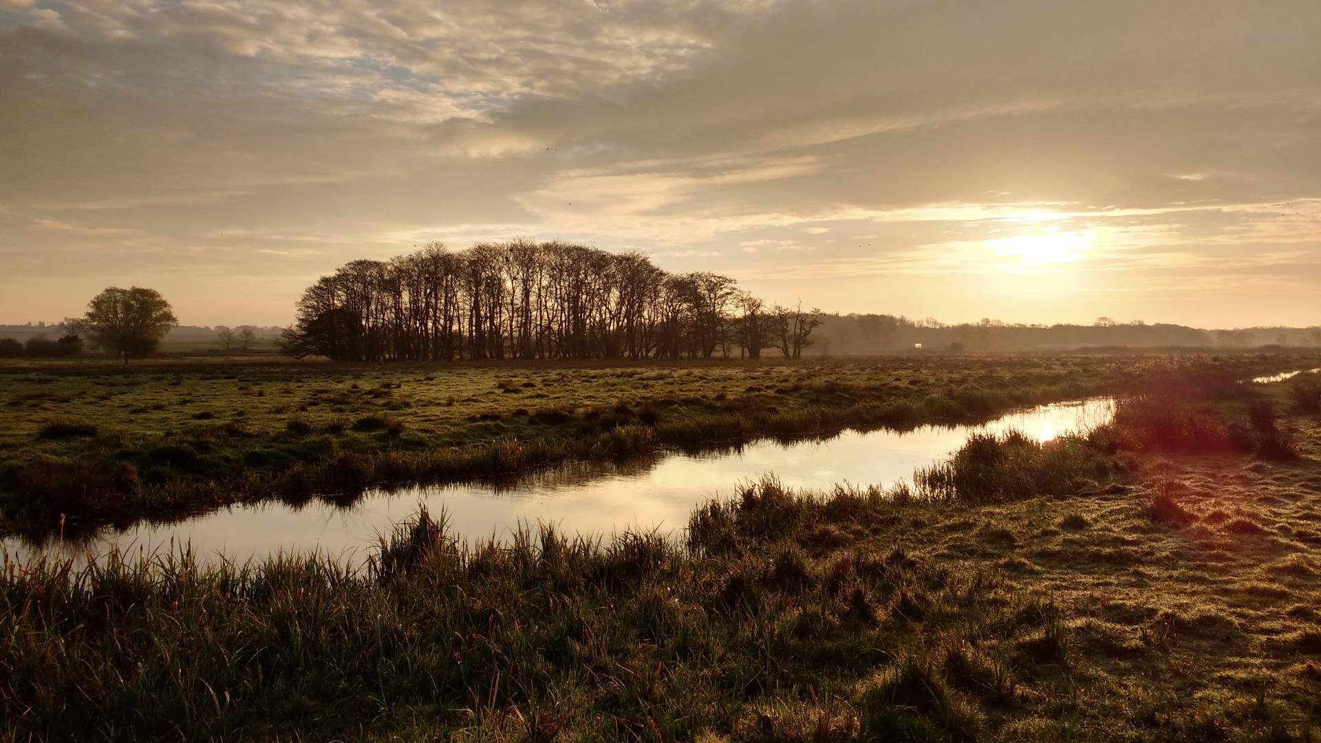 The RSPB