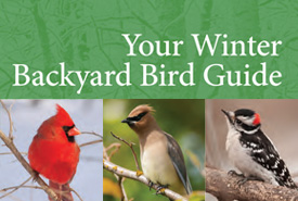 Escape to Vidal Bay from the comfort of your home