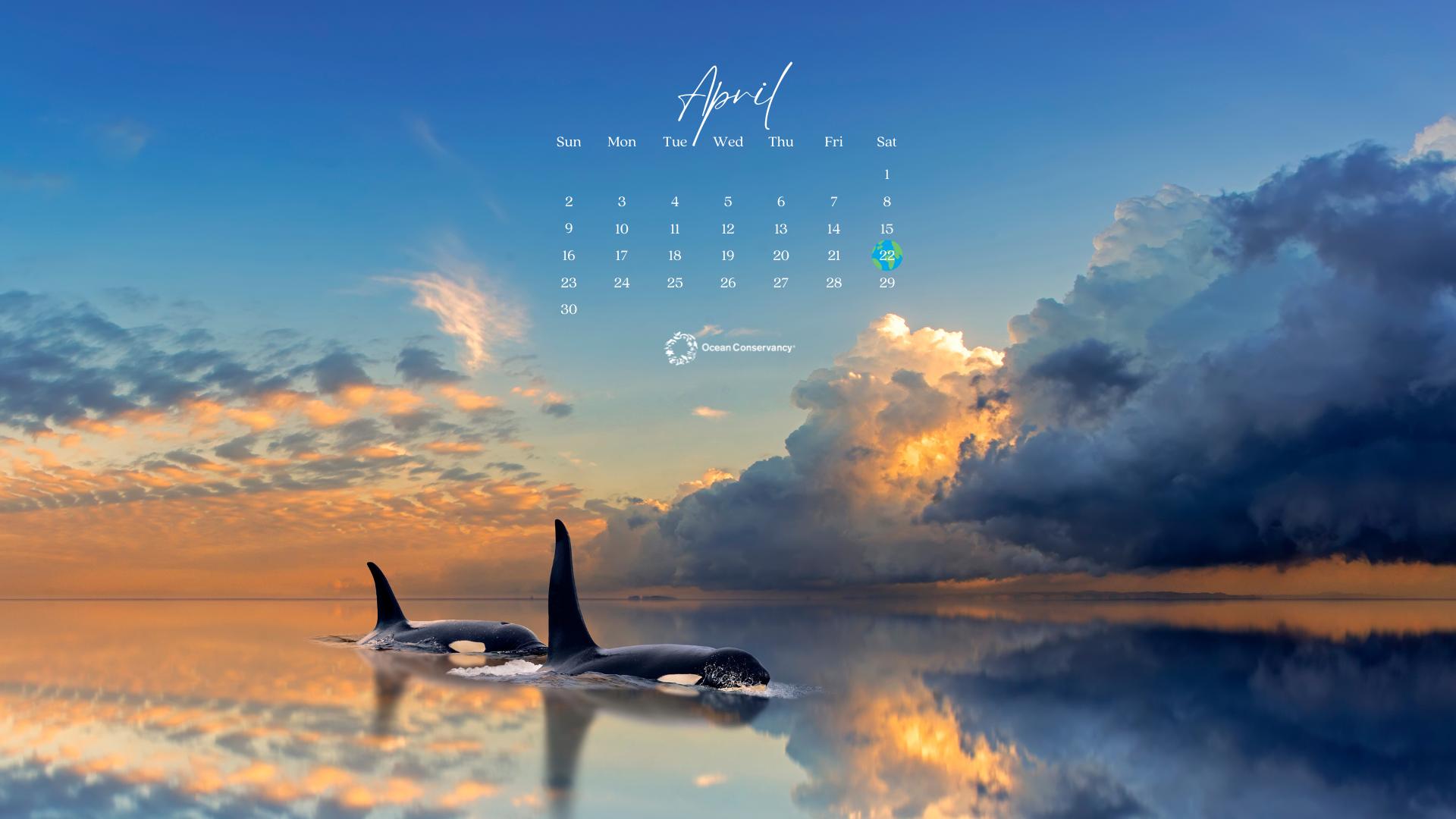 Celebrate Earth Day | Ocean Conservancy