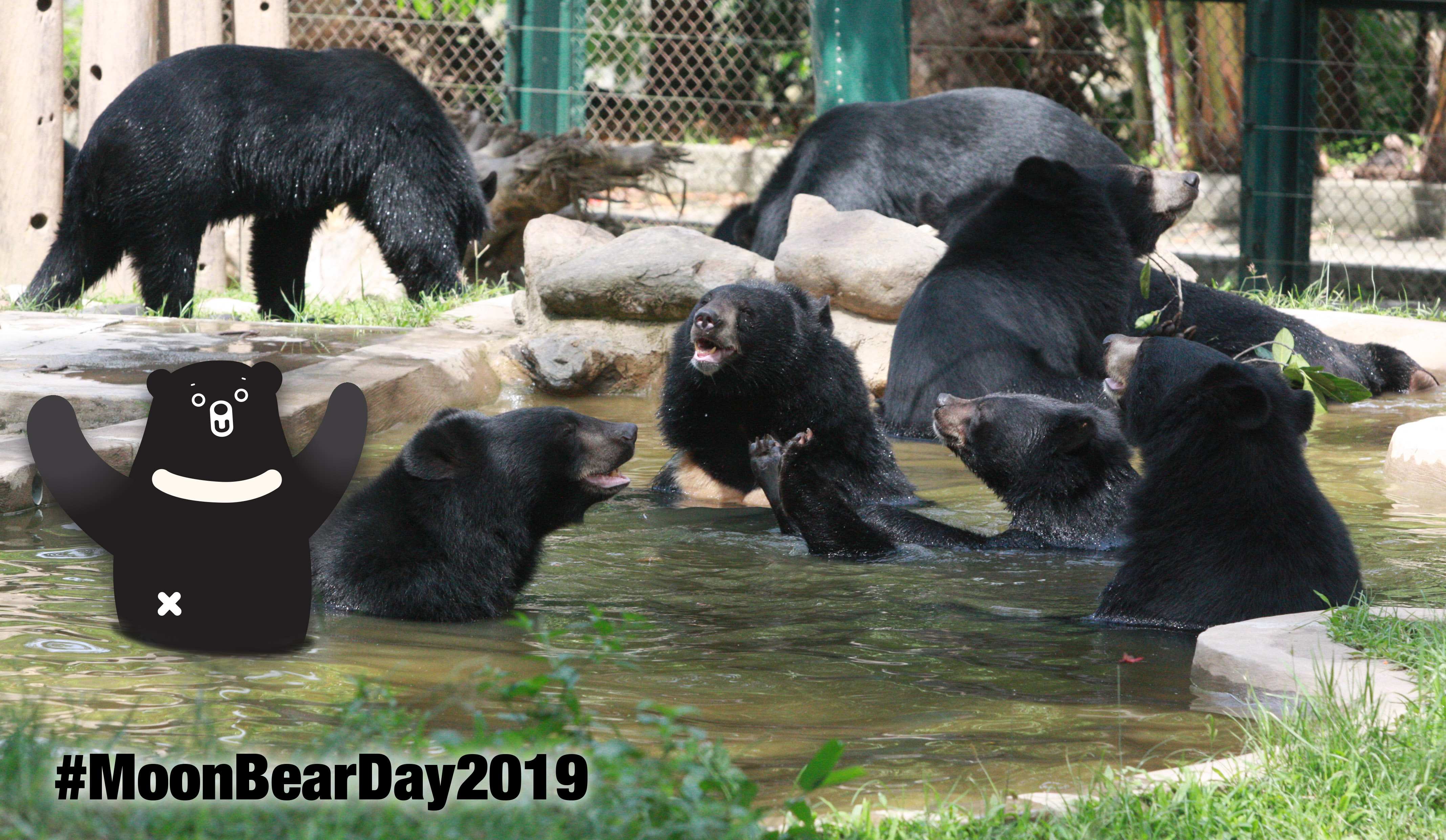 Animals Asia | Sign our pledge