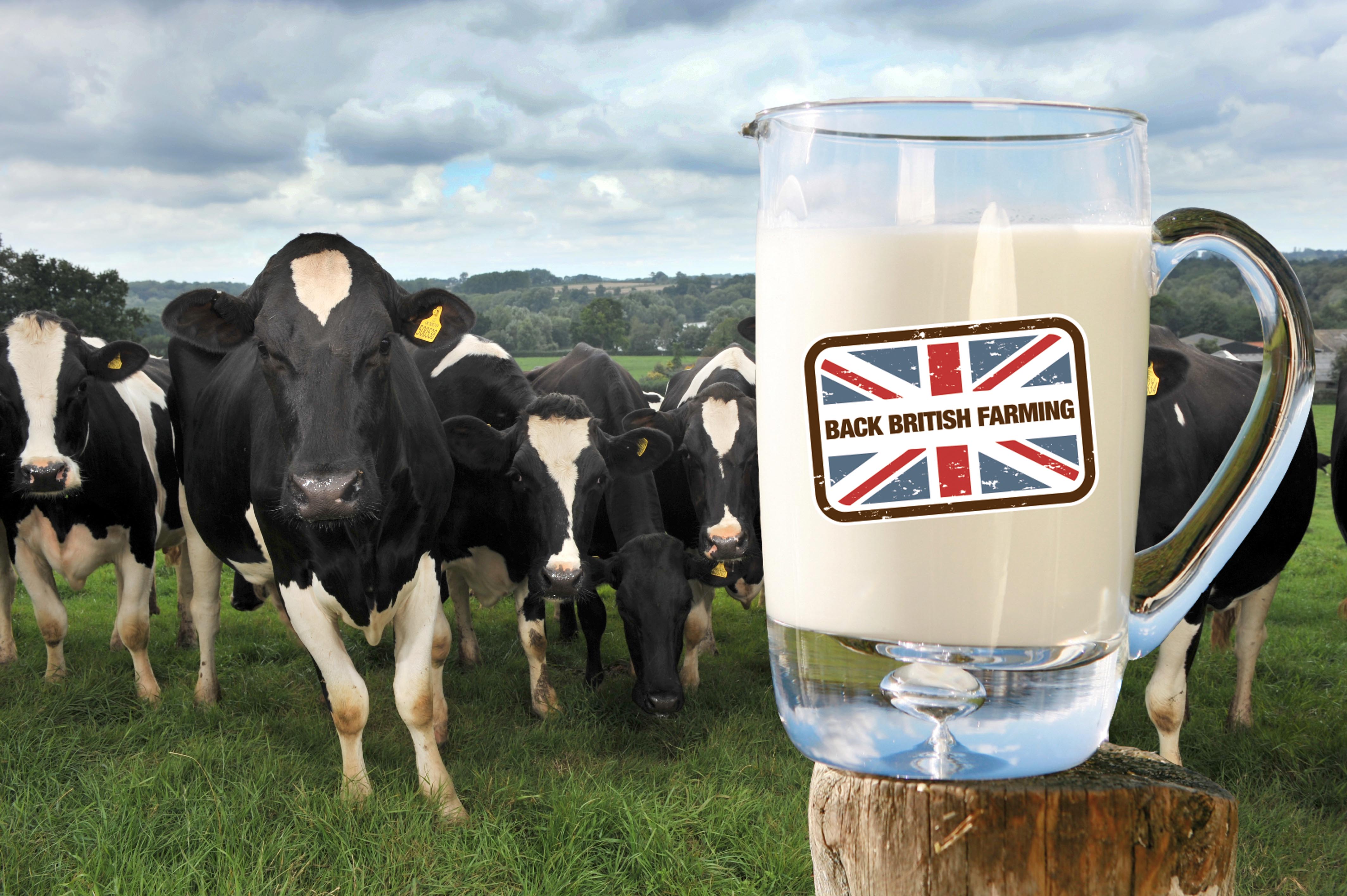 Call on your MP to support the British dairy sector