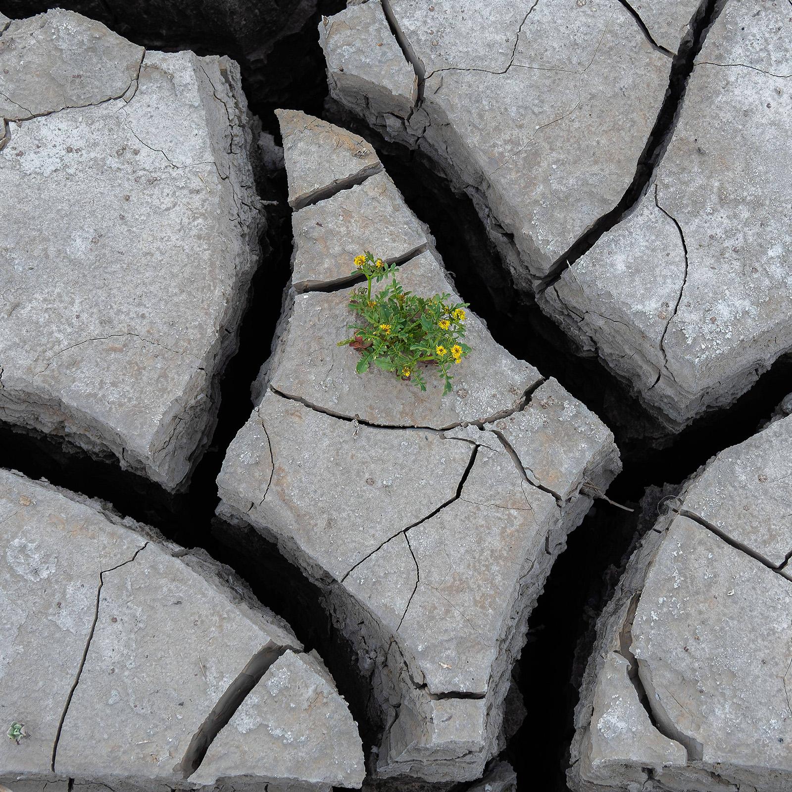 Extreme Weather Survey | The Nature Conservancy