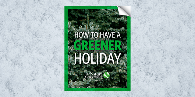 Get Your Free Holiday Guide | The Nature Conservancy