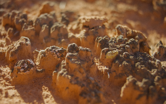 Jorge Rojas & Dr. Sasha Reed: The Biocrust Project