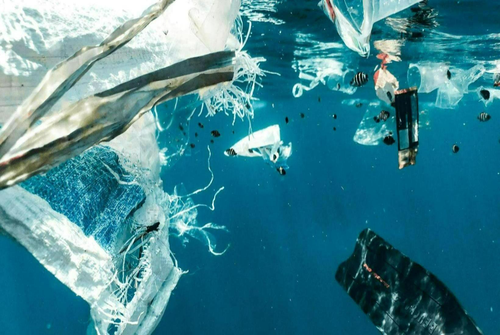 Donate today to help us fight plastic pollution