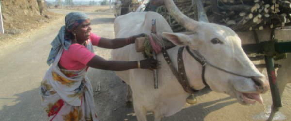 Sponsor een pensioen, red een leven