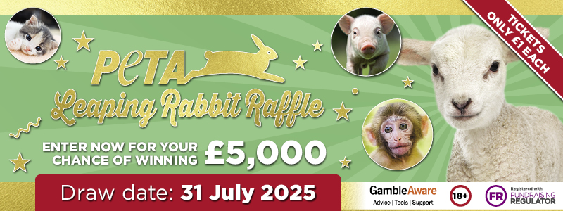 This Summer, Win Big with PETA