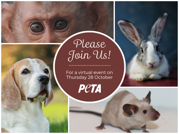 Please don’t miss this: PETA’s global plan to stop animal testing