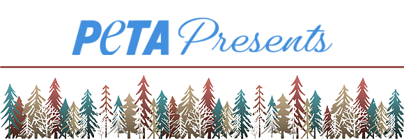 Share Your Compassion This Christmas